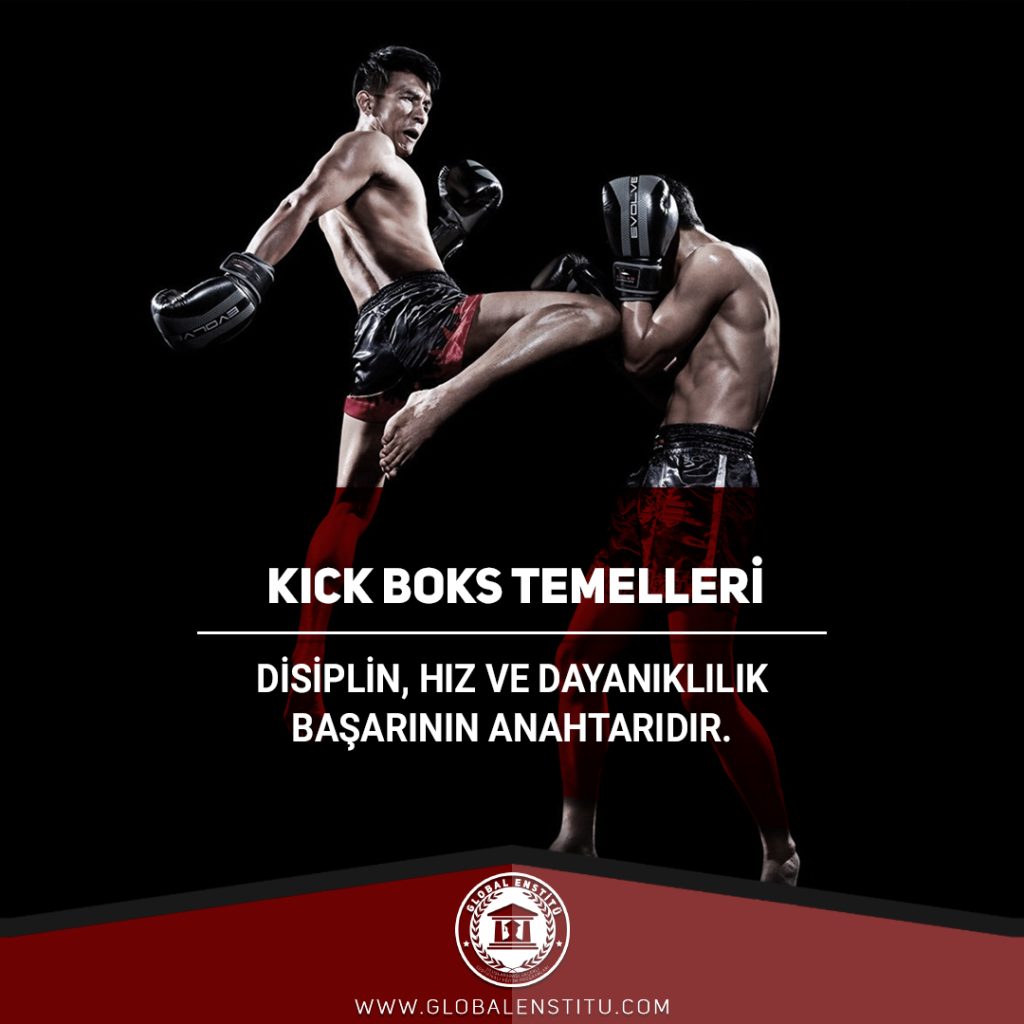 Kick Boks Temelleri Ücretsiz Eğitim 2024 | 5 Dilde Sertifika