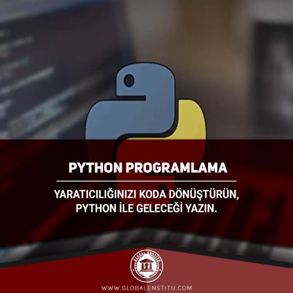 Python Programlama Ücretsiz Eğitim 2024 | 5 Dilde Sertifika